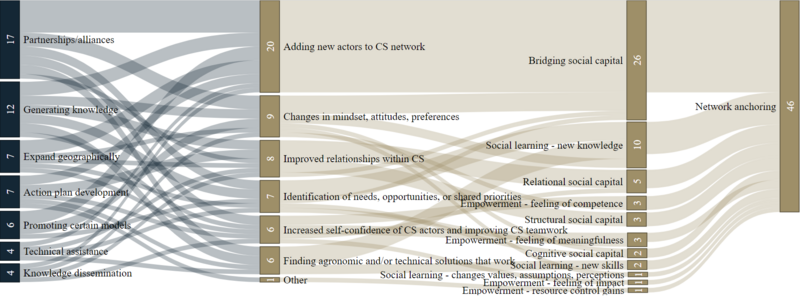 Diverimpacts - Understanding anchoring processes in the DiverIMPACTS ...