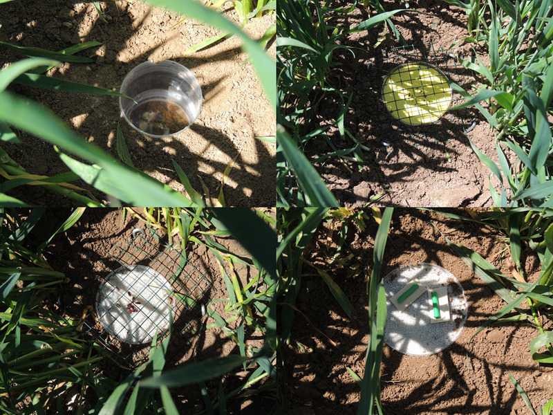 Diverimpacts - Biodiversity measurements in the DiverIMPACTS field ...